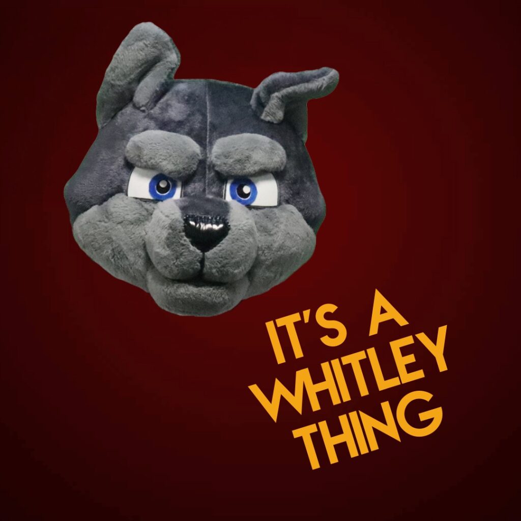 It's a Whitley Thing | Whitley Warriors